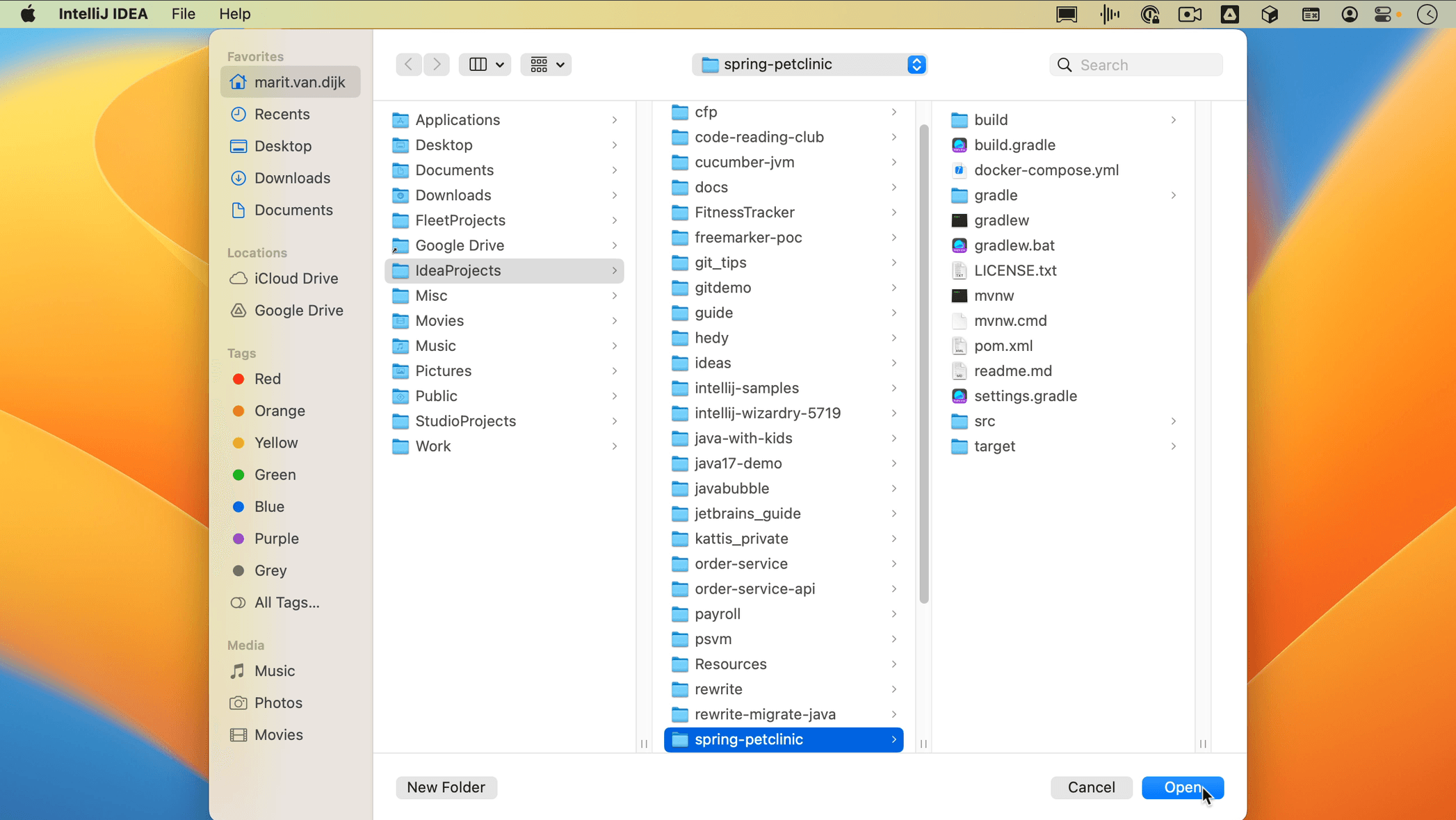 Project from existing model - JetBrains Guide